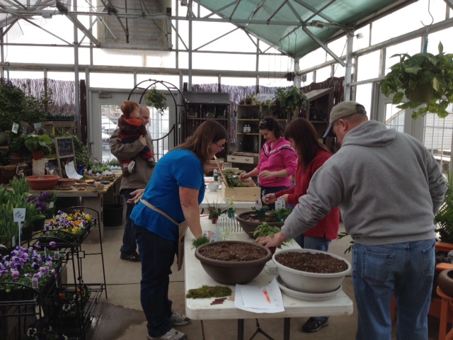 Gardening classes and workshops