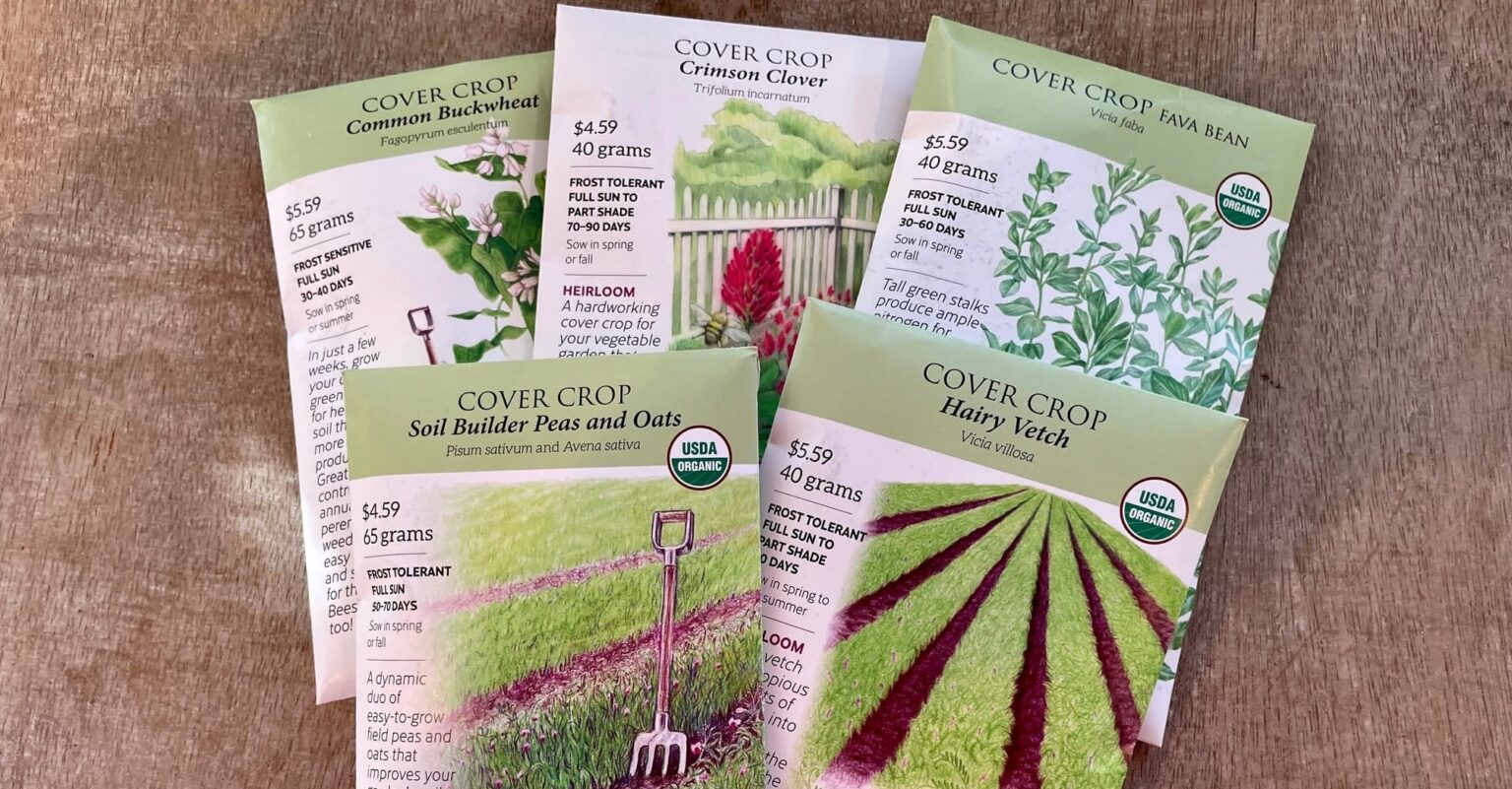 Cover Crops from Seed - Creek Side Gardens