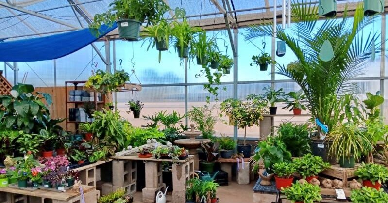 Gardening classes and workshops